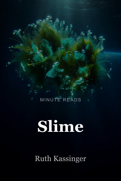 Slime book cover