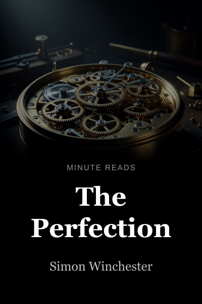 The Perfectionists book cover