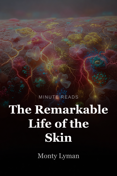 The Remarkable Life of the Skin book cover